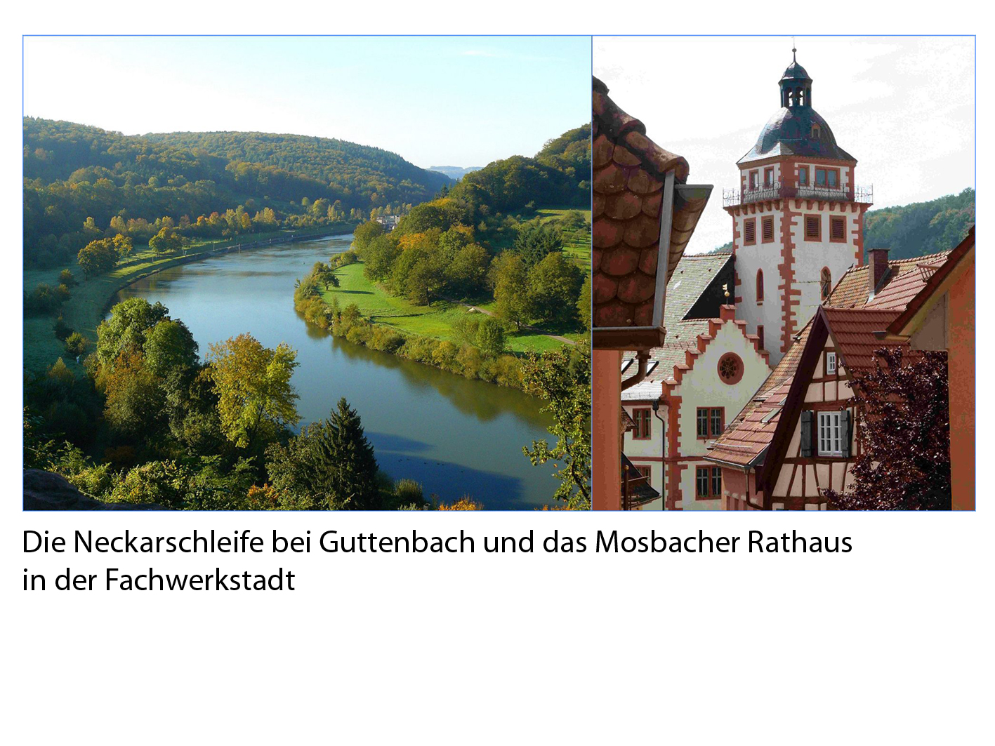 LC Mosbach - Mosbach - Lions Deutschland